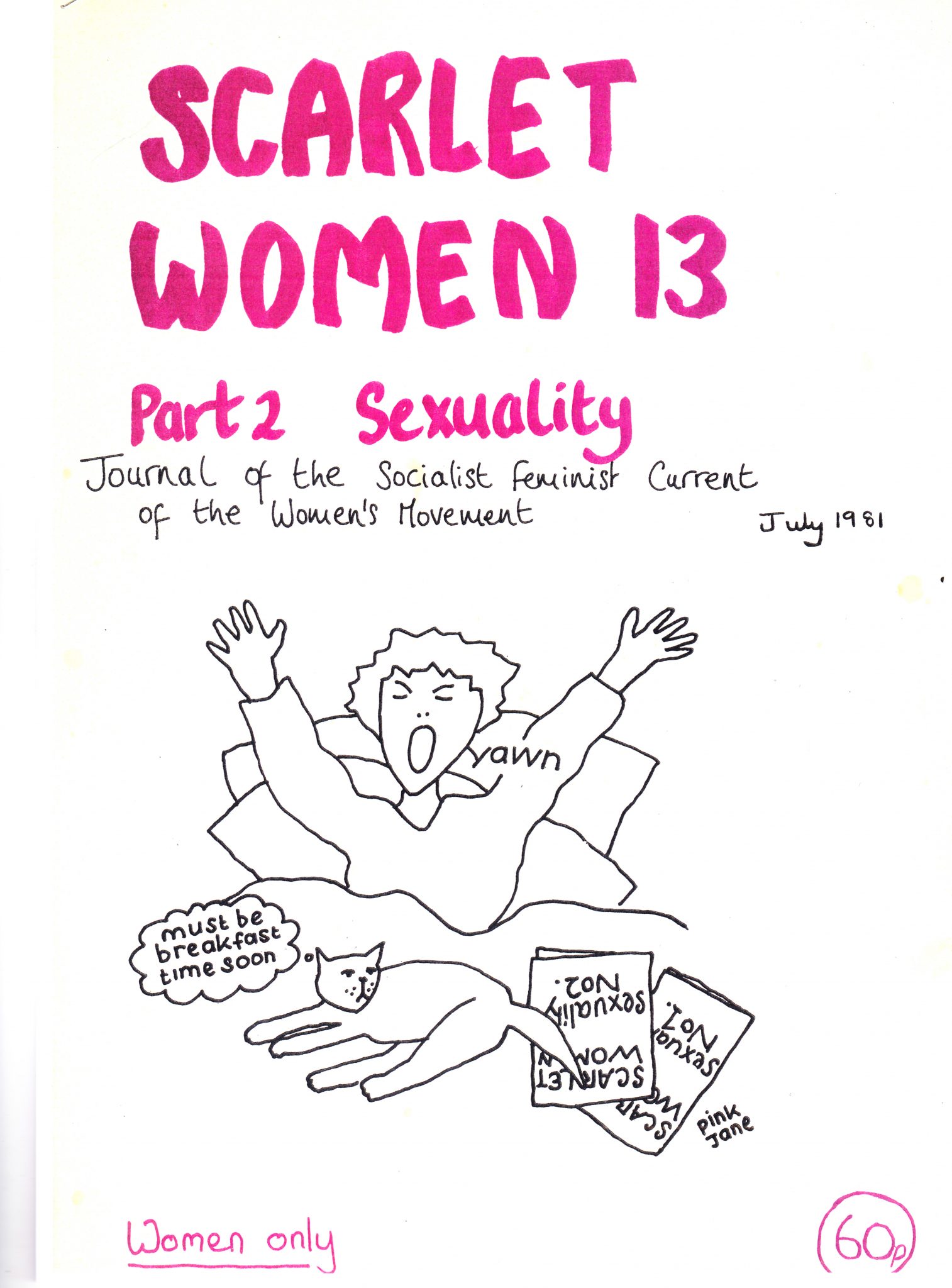 Feminist zines